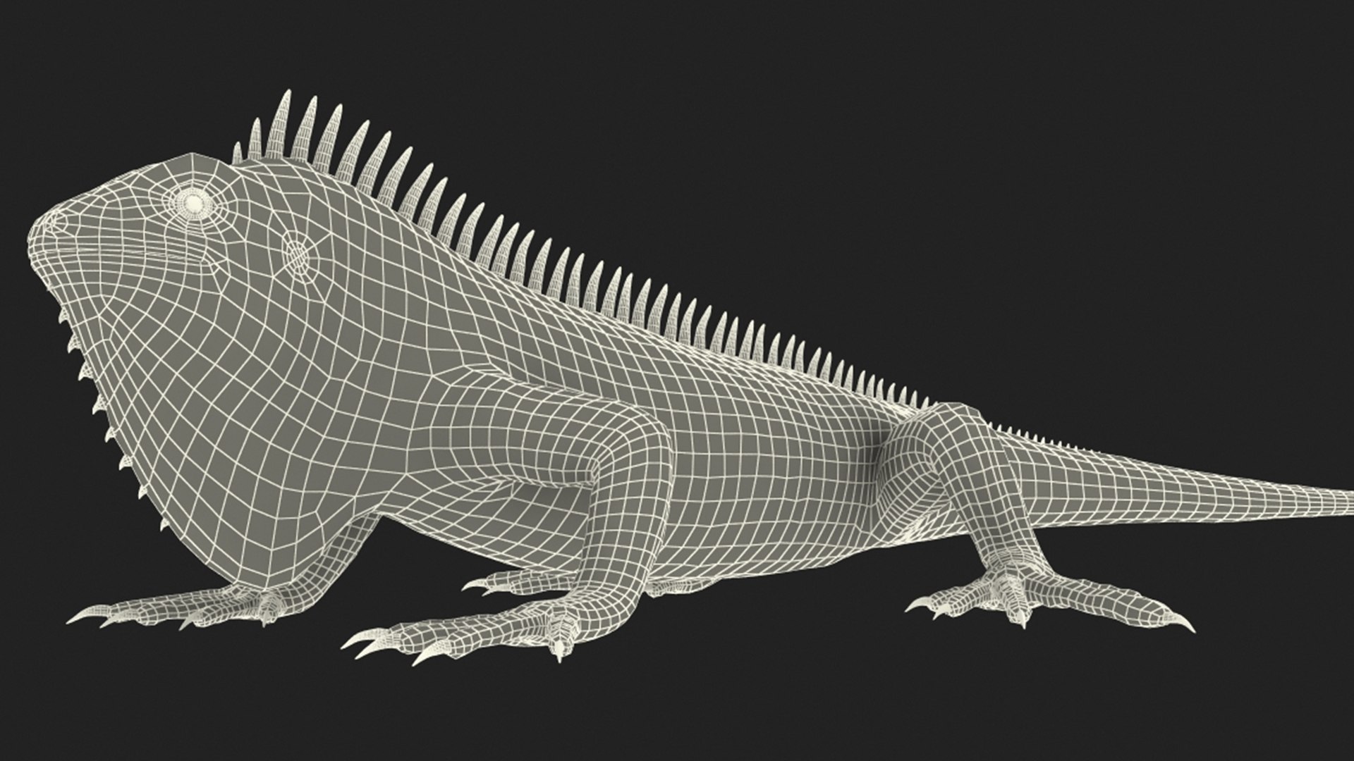 3D Iguana Reptile Creature Rigged For Cinema 4D Model - TurboSquid 2381277
