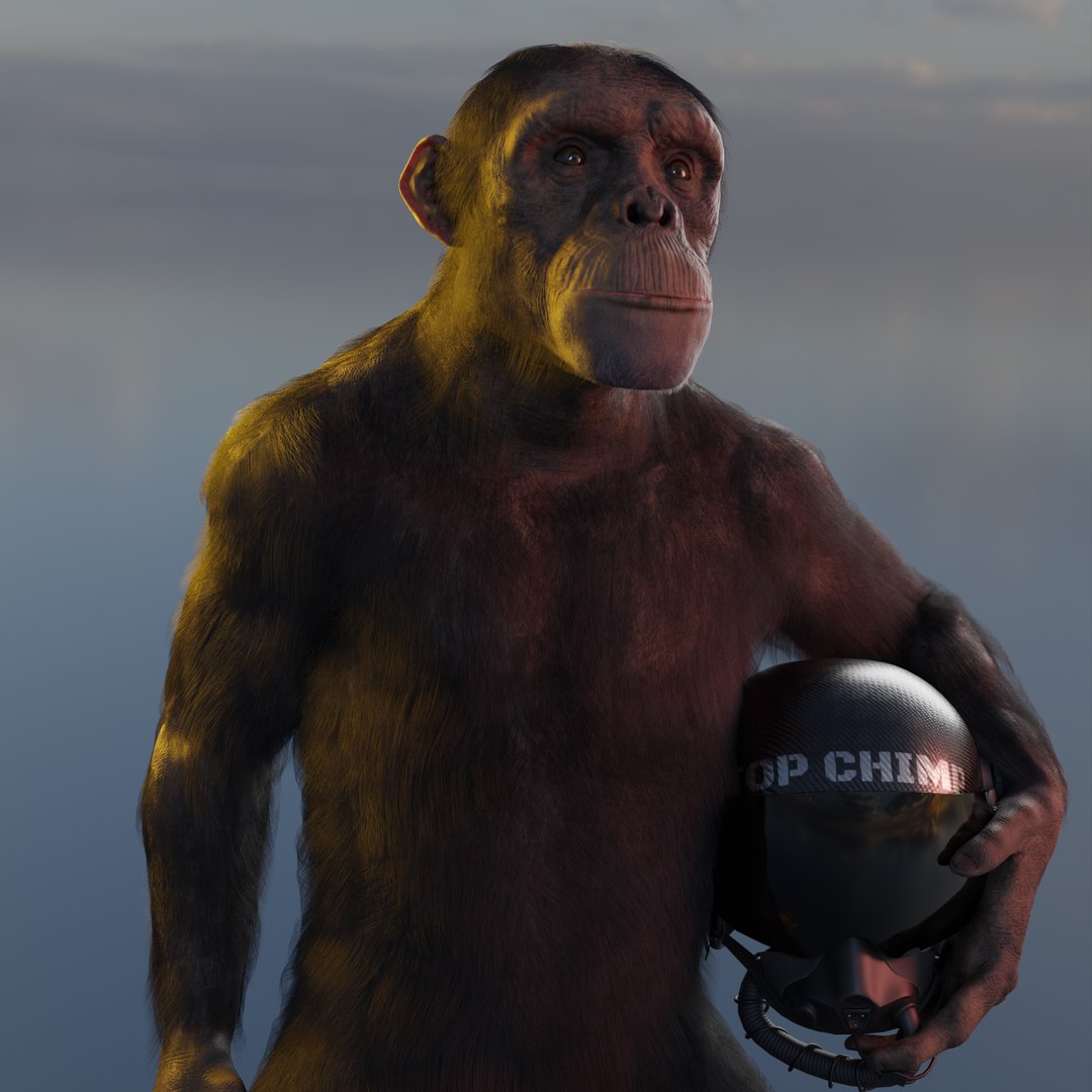 Chimpanzee RIGGED Model - TurboSquid 2072822