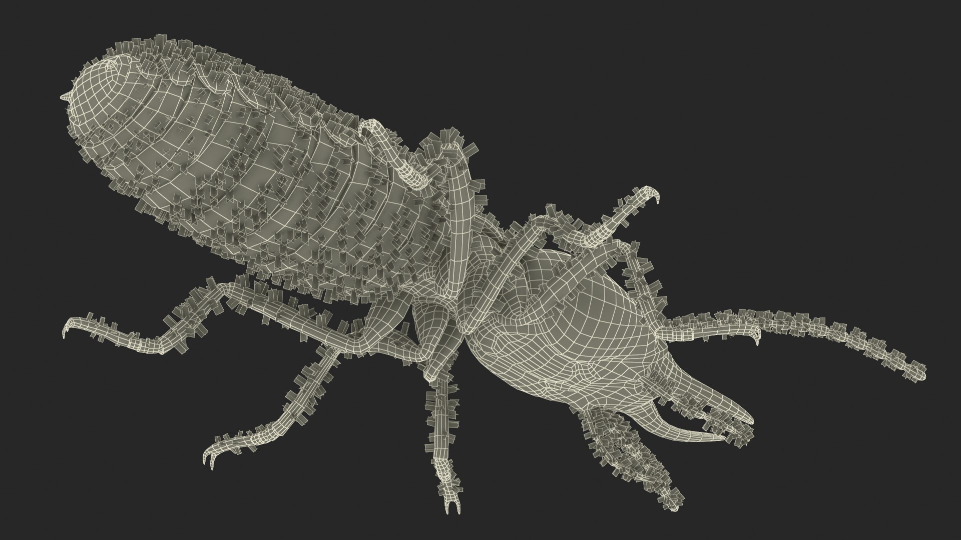 Termite Rigged For Maya 3D Model - TurboSquid 2365053