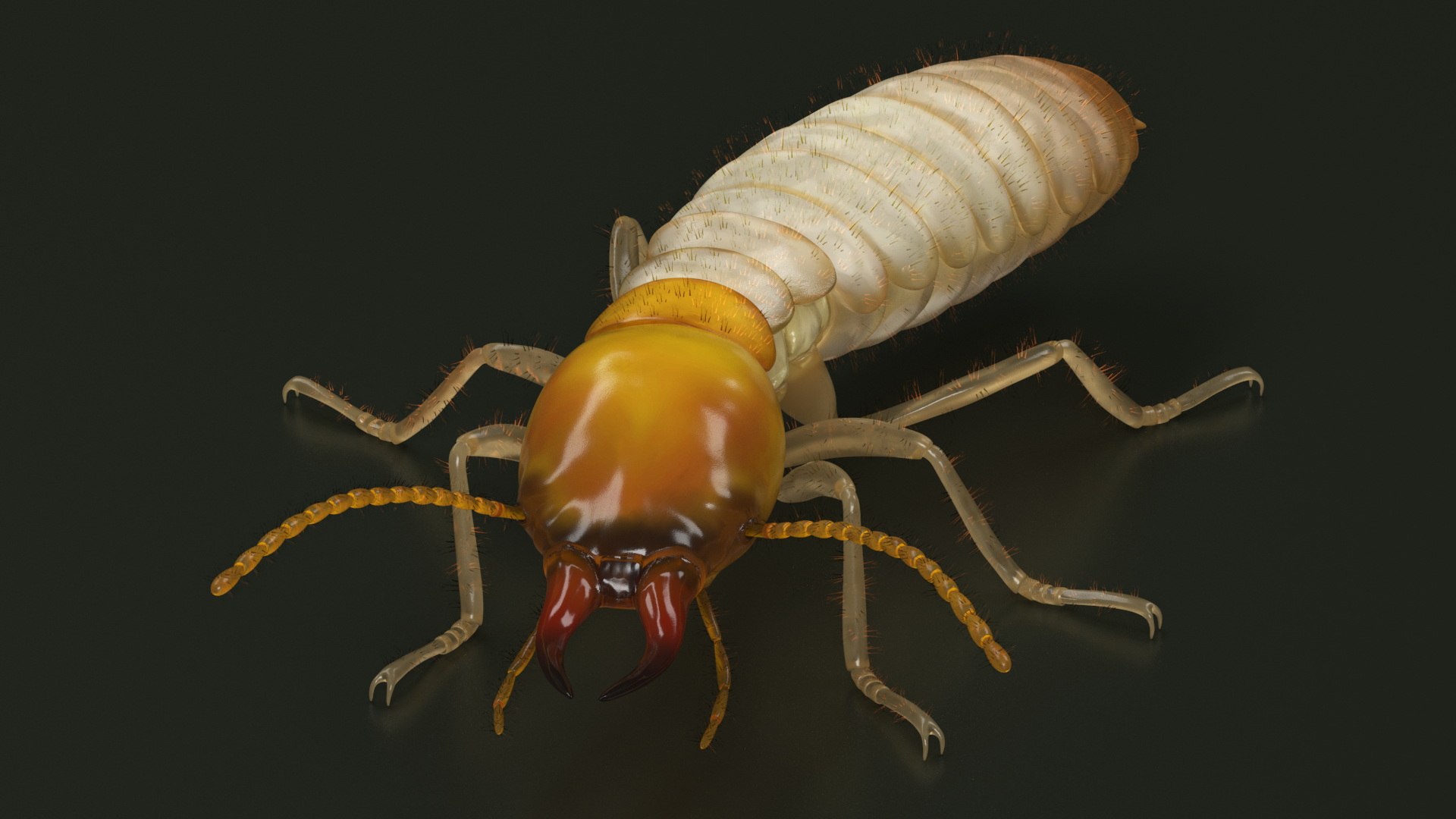 Termite Rigged For Maya 3D Model - TurboSquid 2365053