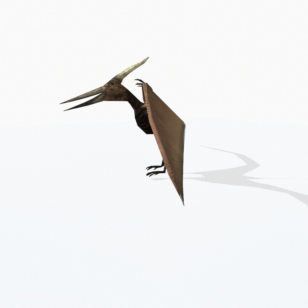 Pteranodon Pterosaurs Flying Max