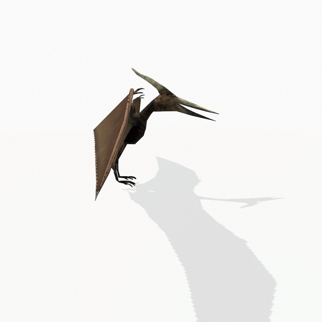 Pteranodon Pterosaurs Flying Max