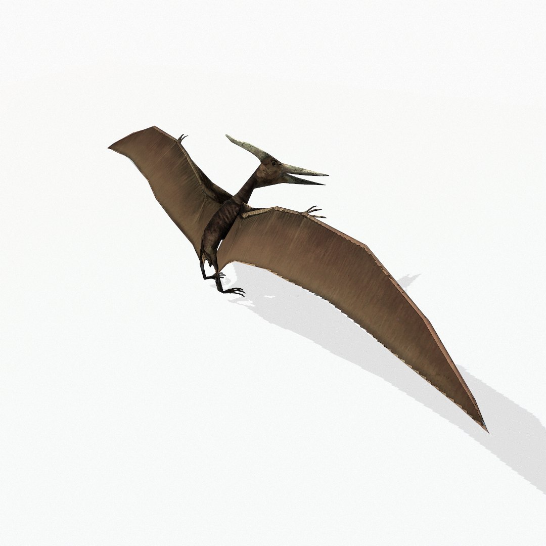 Pteranodon Pterosaurs Flying Max