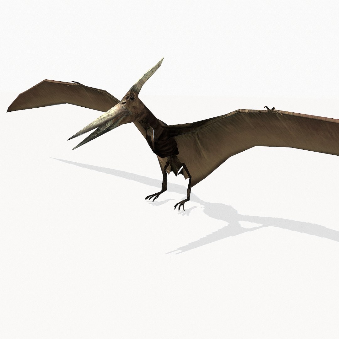 Pteranodon Pterosaurs Flying Max