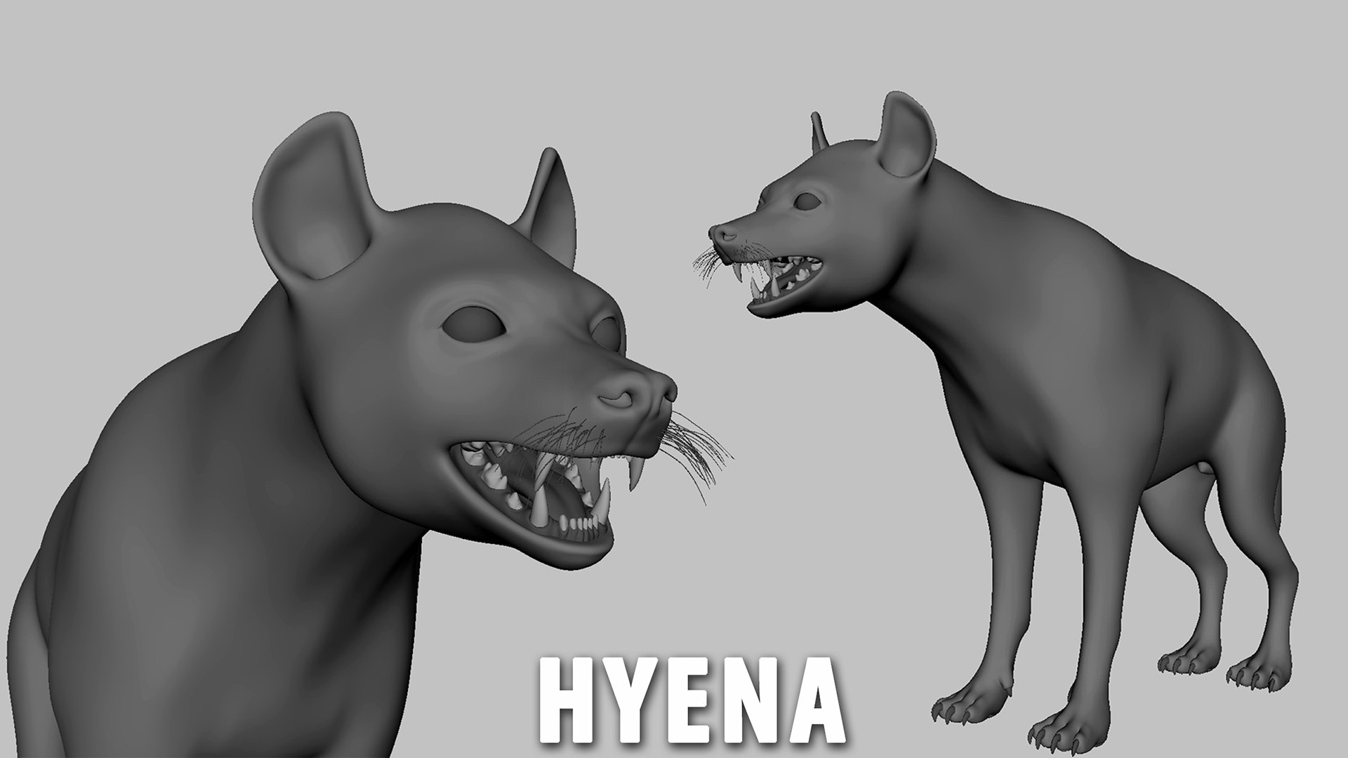 3D Model Hyena Basemesh - TurboSquid 2238218
