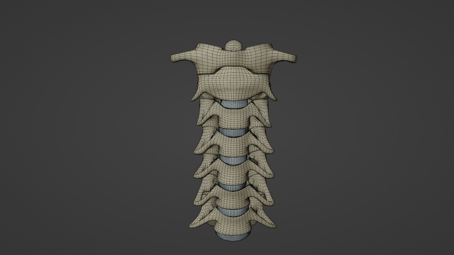 3D Cervical Spine Neck Model - TurboSquid 2079083