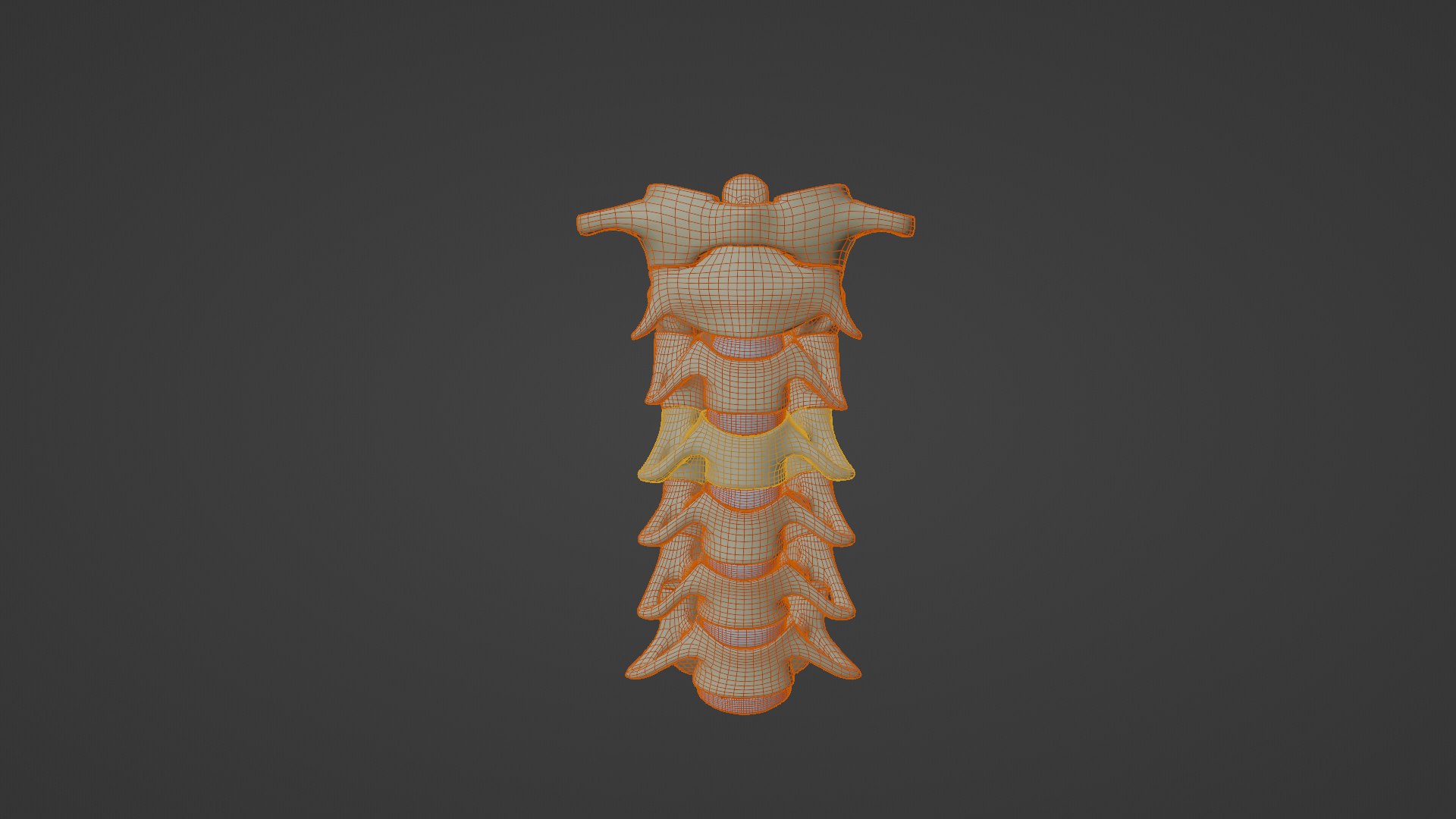 3D Cervical Spine Neck Model - TurboSquid 2079083