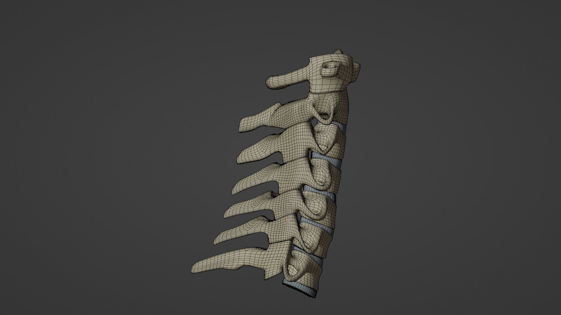 3D Cervical Spine Neck Model - TurboSquid 2079083