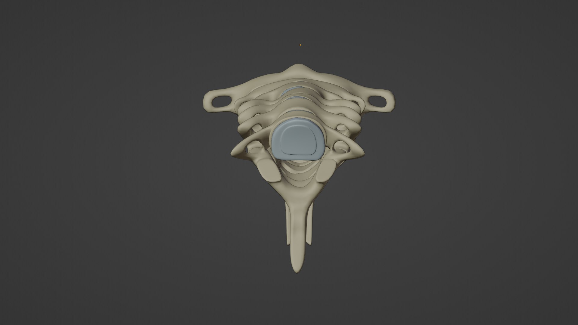 3D Cervical Spine Neck Model - TurboSquid 2079083