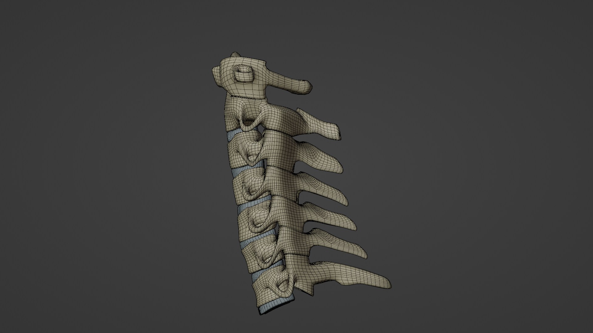 3D Cervical Spine Neck Model - TurboSquid 2079083