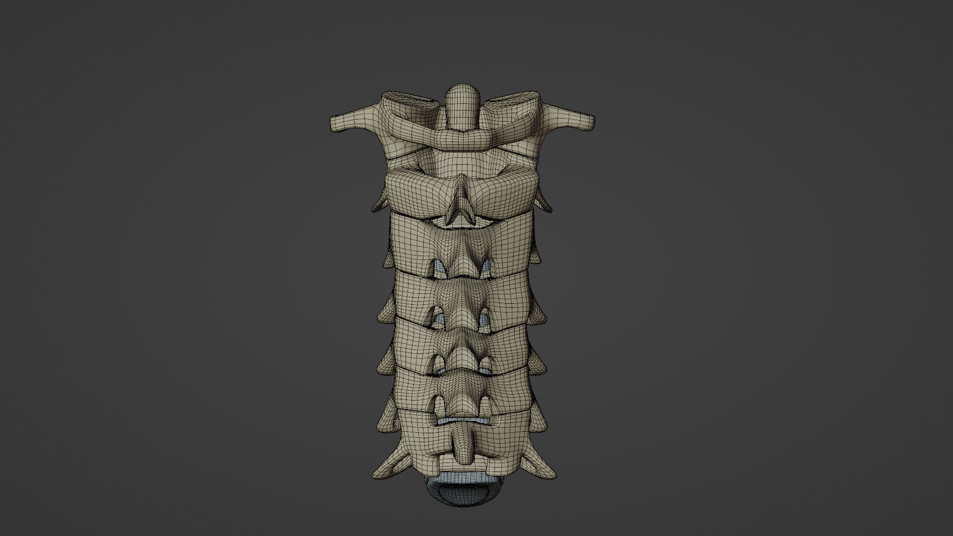 3D Cervical Spine Neck Model - TurboSquid 2079083