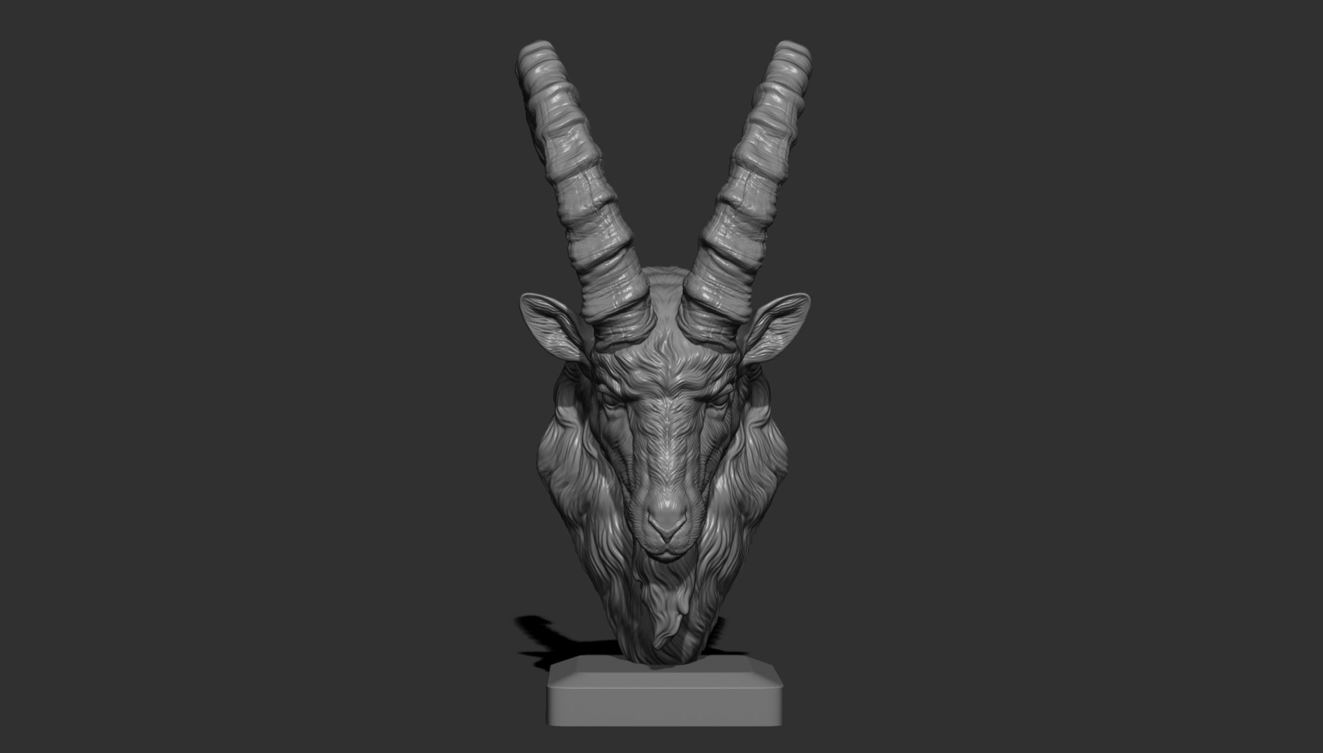 Ibex Goat Head 3D - TurboSquid 1865437
