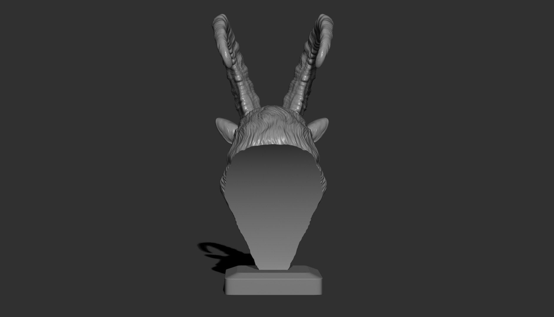 Ibex Goat Head 3D - TurboSquid 1865437