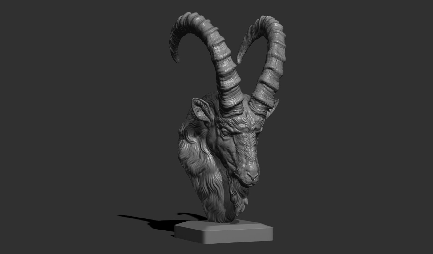 Ibex Goat Head 3D - TurboSquid 1865437