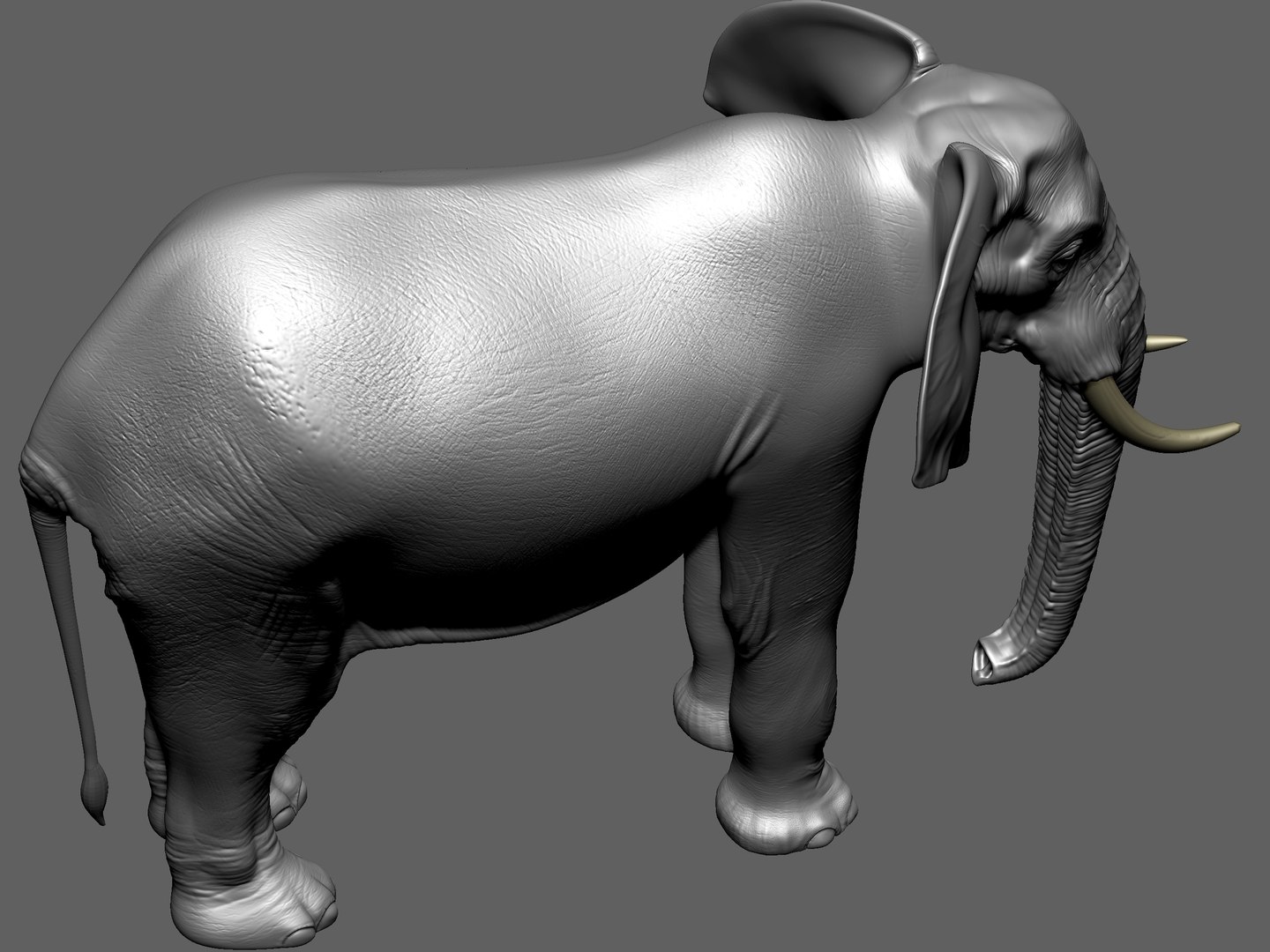 3D Elephant Realistic Model - TurboSquid 2269287