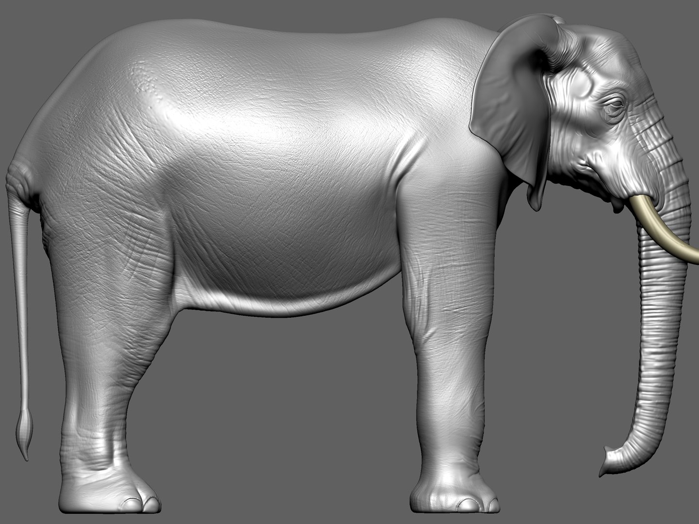 3D Elephant Realistic Model - TurboSquid 2269287