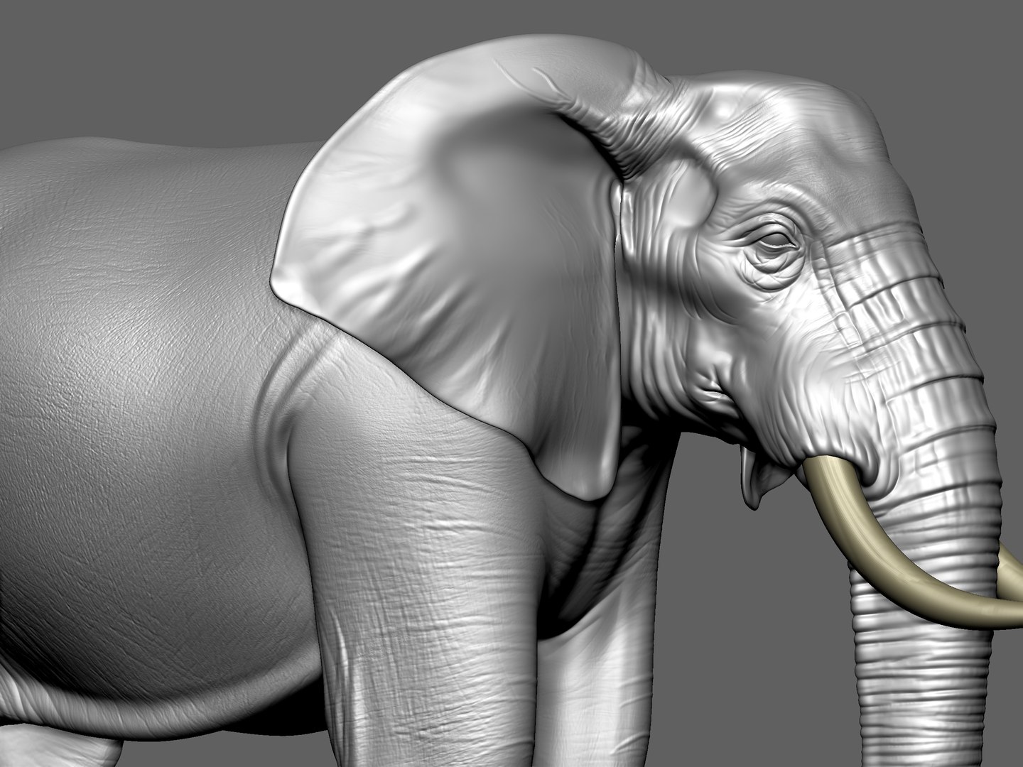 3D Elephant Realistic Model - TurboSquid 2269287
