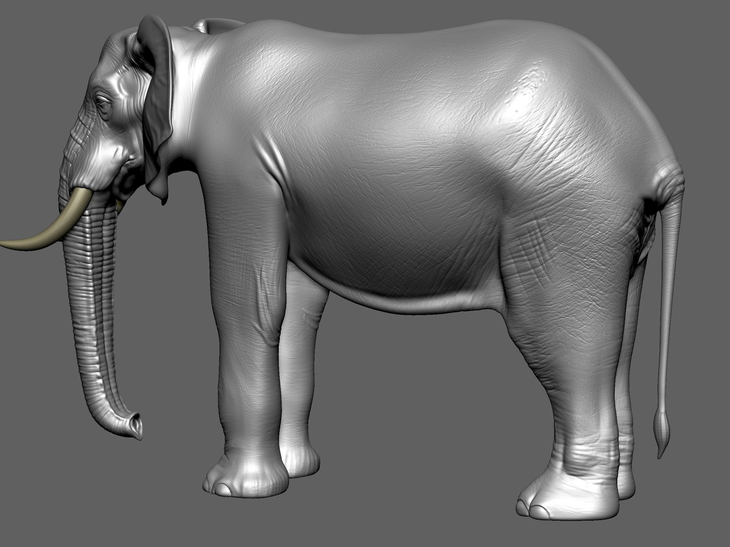 3D Elephant Realistic Model - TurboSquid 2269287