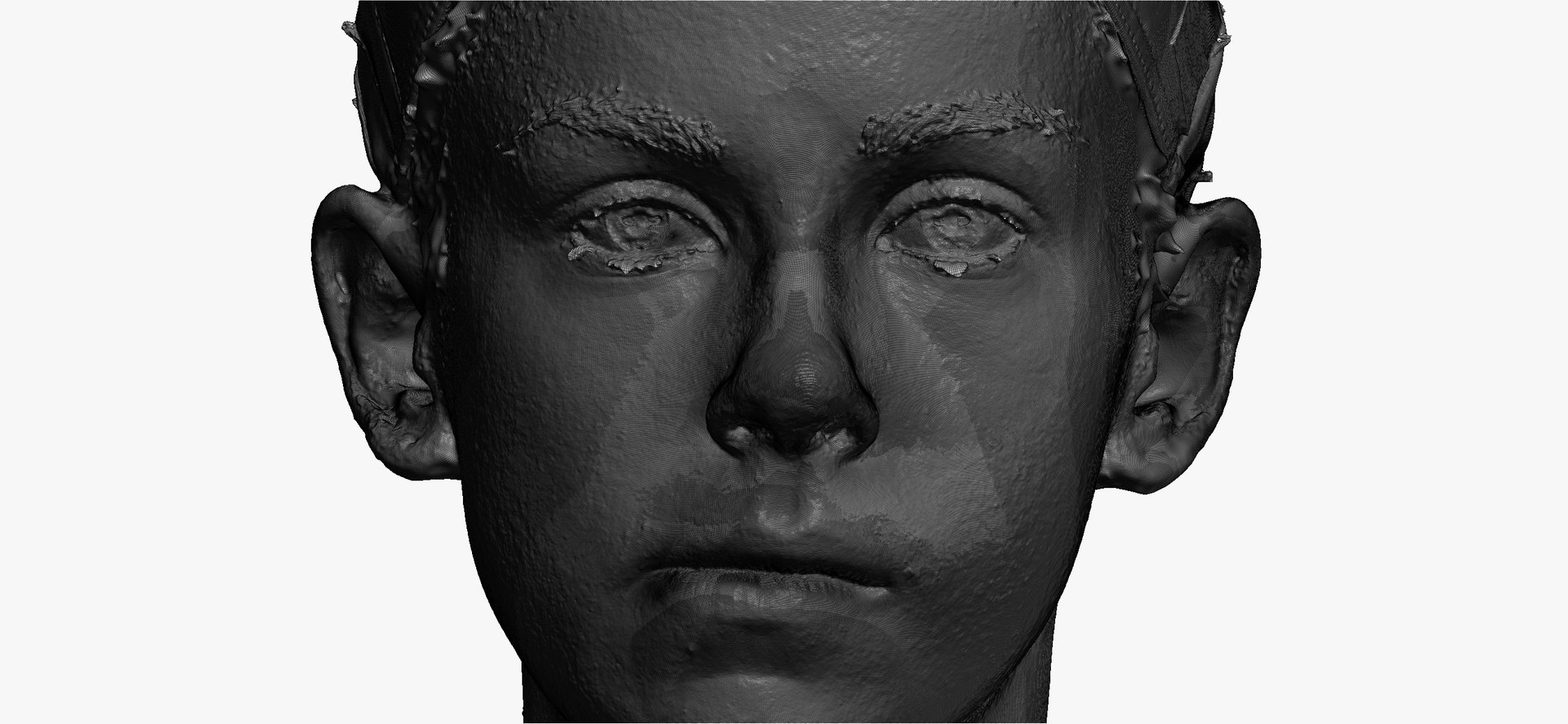 3D Rhea Human Head Jaw - TurboSquid 1664199