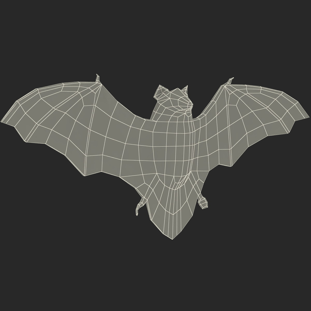 3d bat animal modelled model