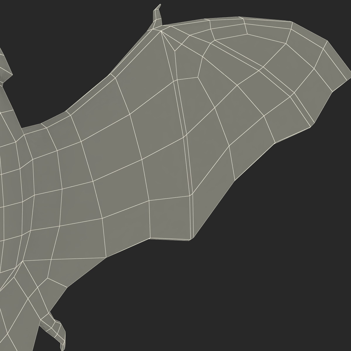 3d bat animal modelled model