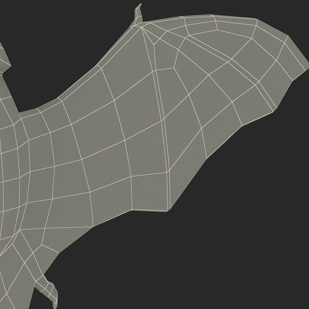 3d Bat Animal Modelled Model