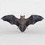 3d bat animal modelled model