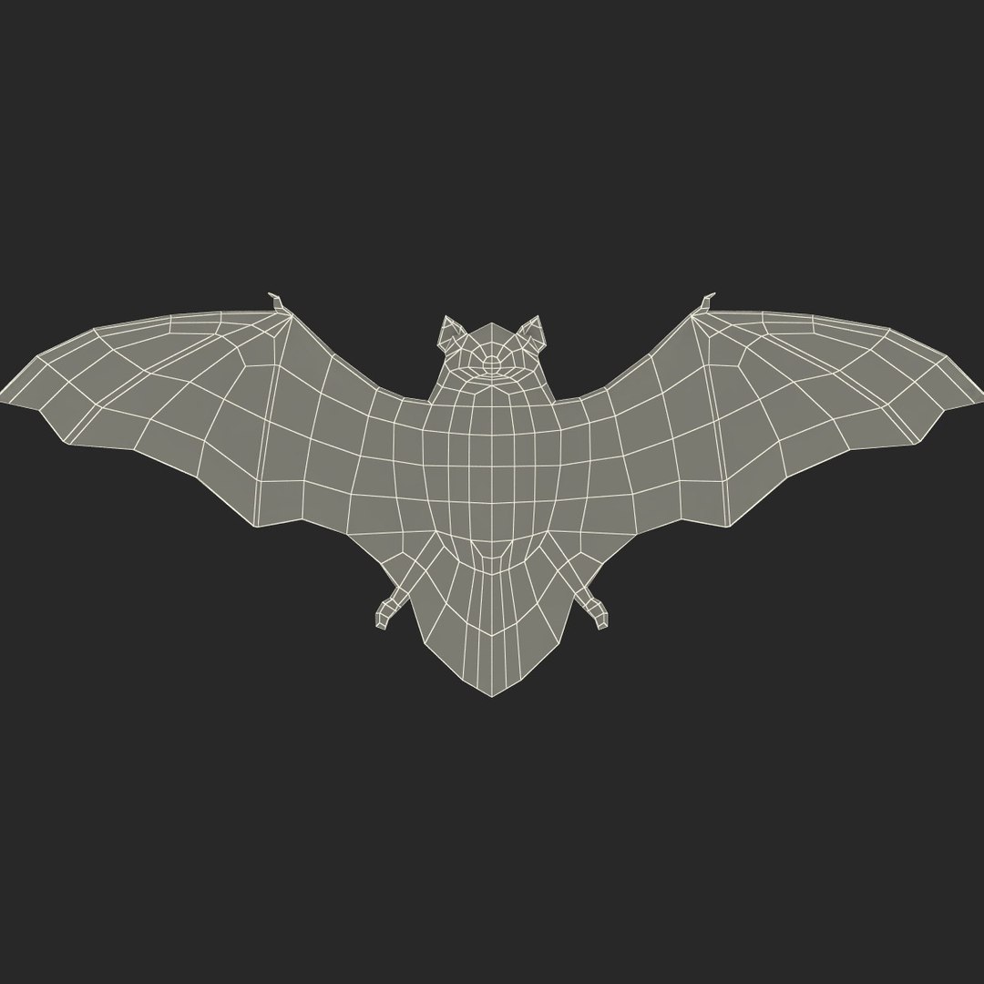 3d Bat Animal Modelled Model