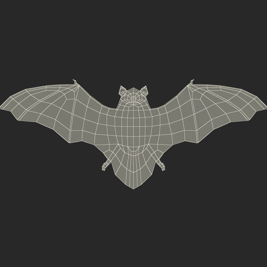 3d bat animal modelled model