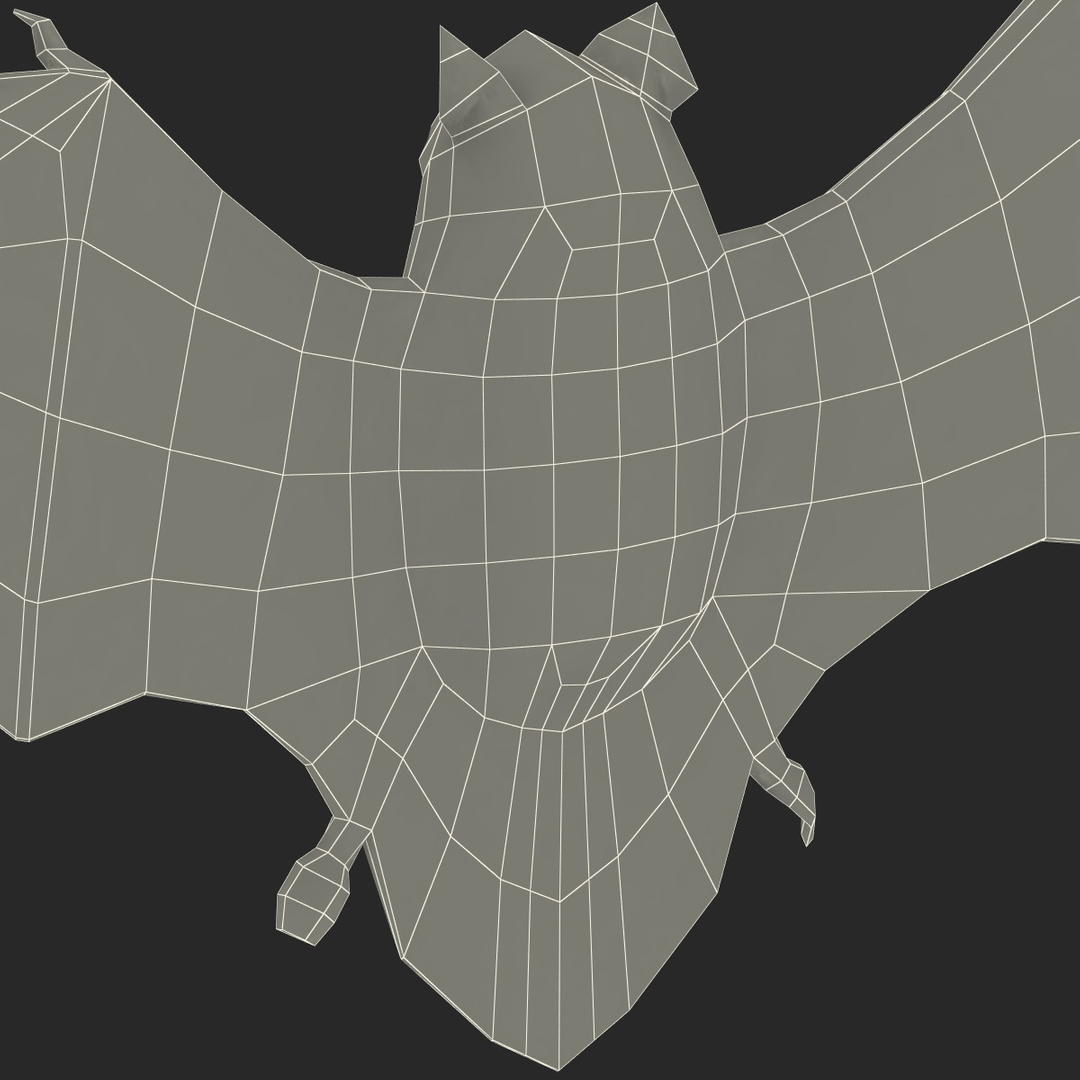 3d bat animal modelled model