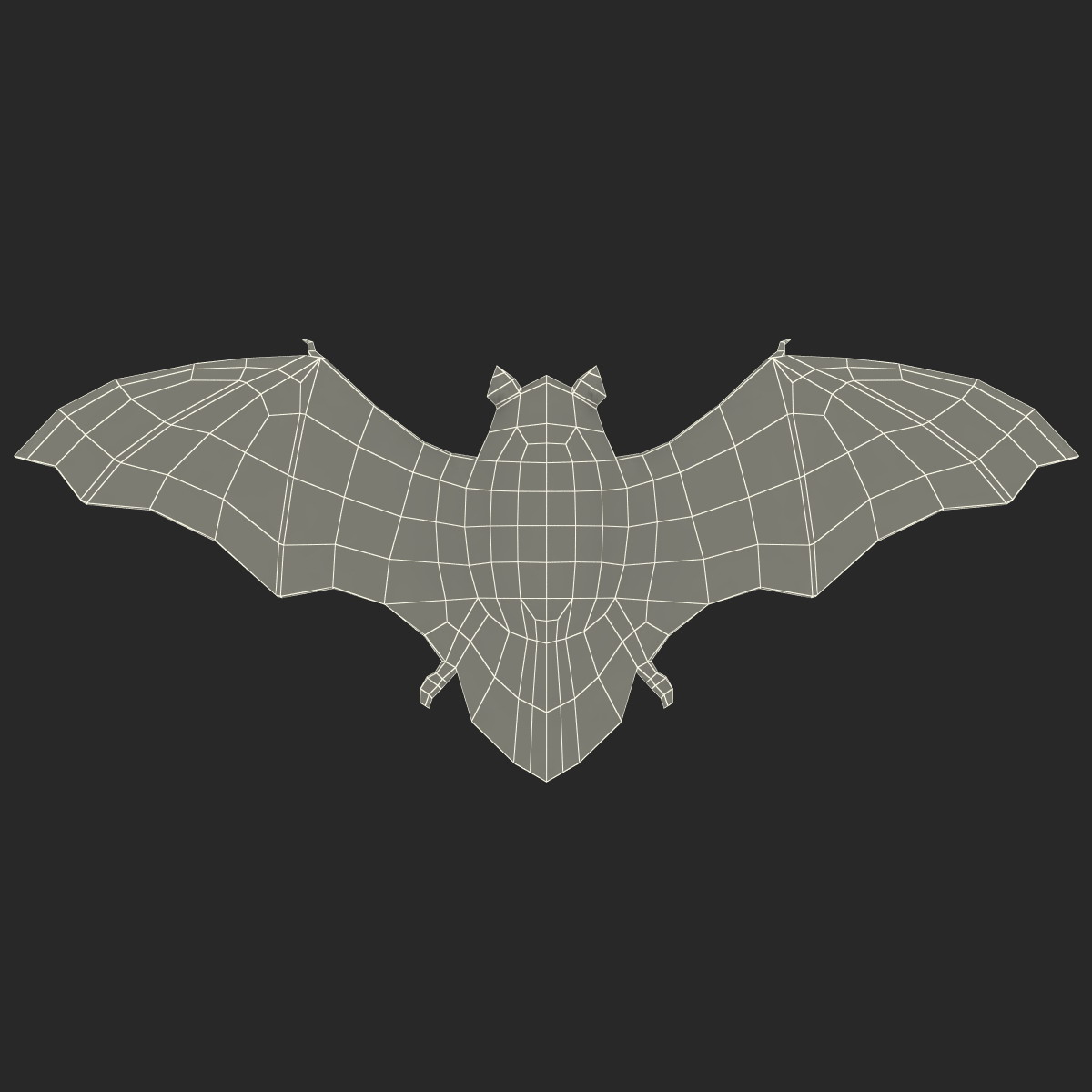 3d bat animal modelled model