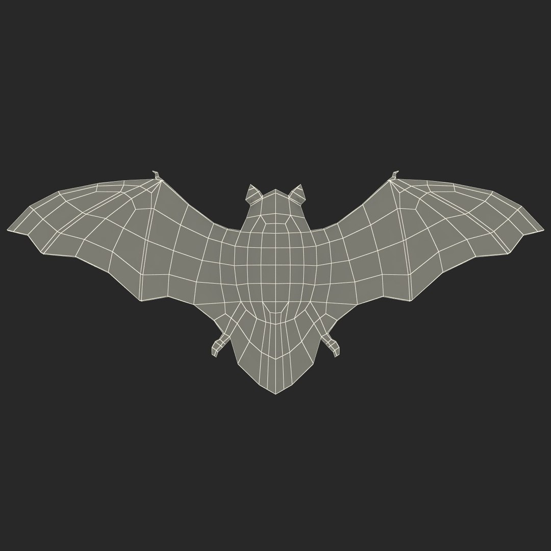 3d Bat Animal Modelled Model