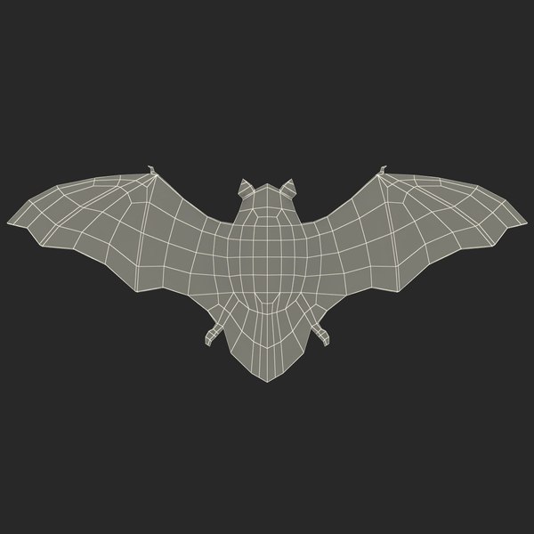 3d bat animal modelled model