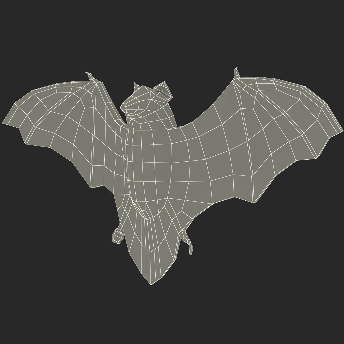 3d bat animal modelled model