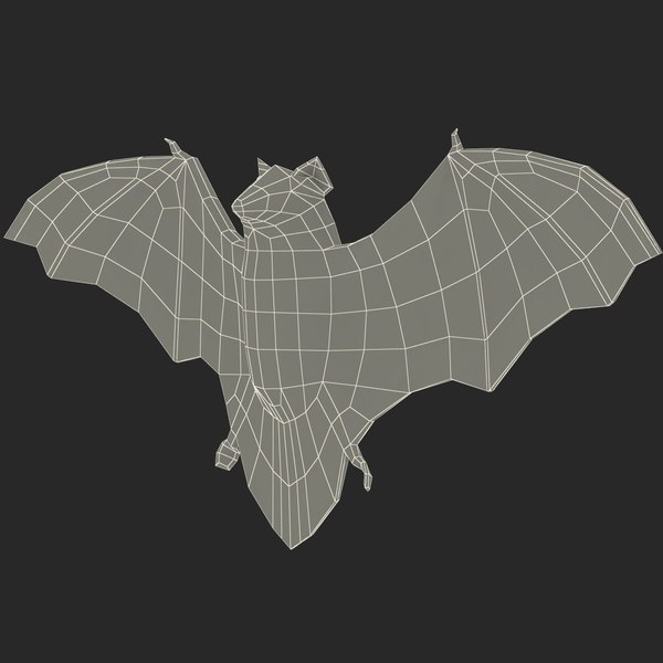 3d bat animal modelled model