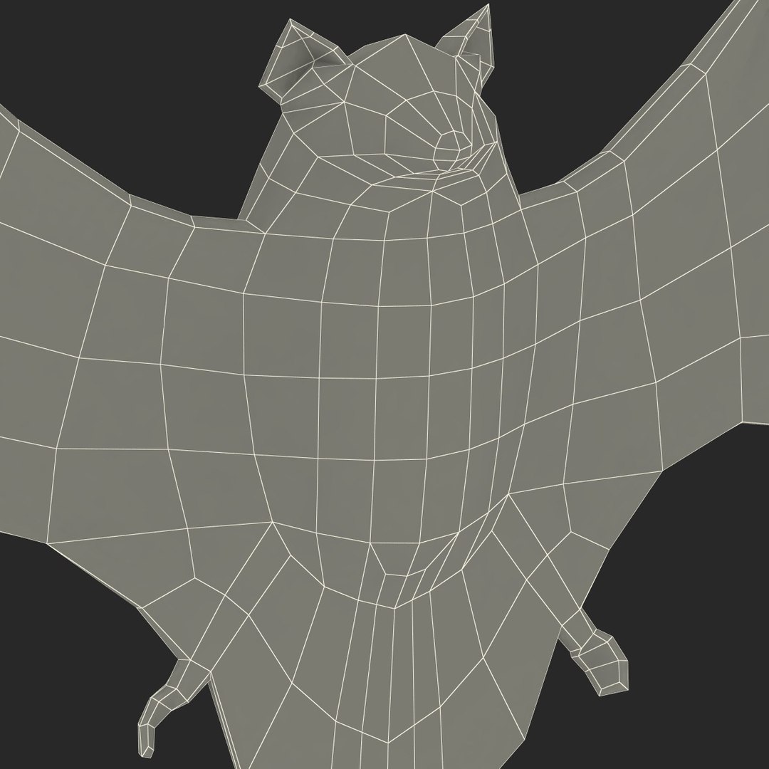 3d Bat Animal Modelled Model