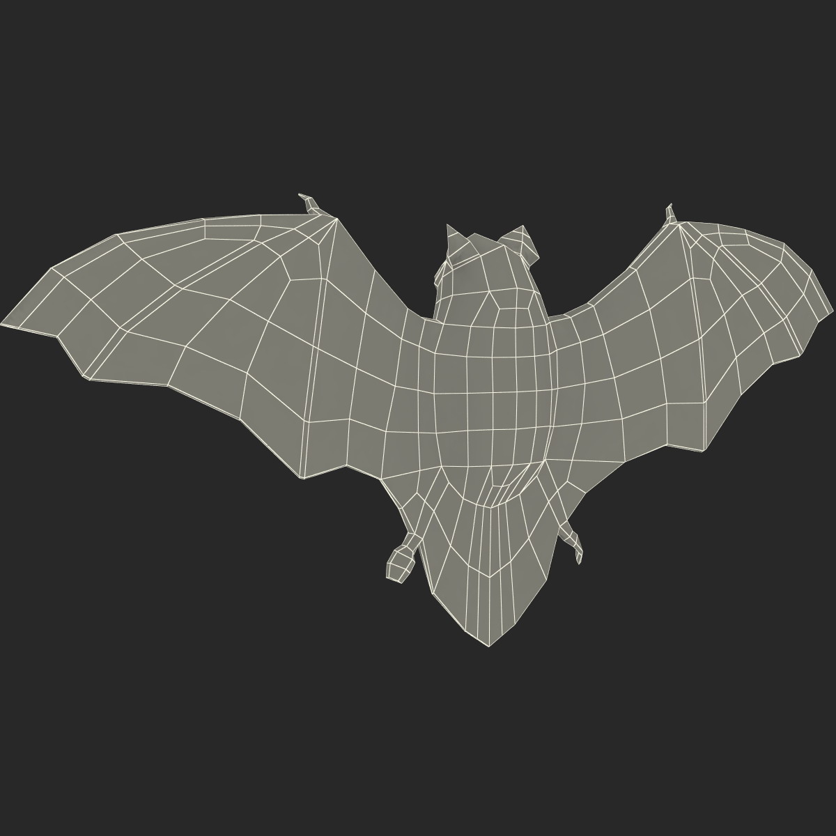 3d bat animal modelled model