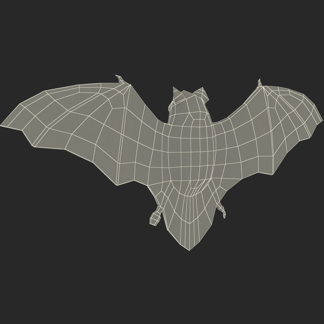 3d bat animal modelled model