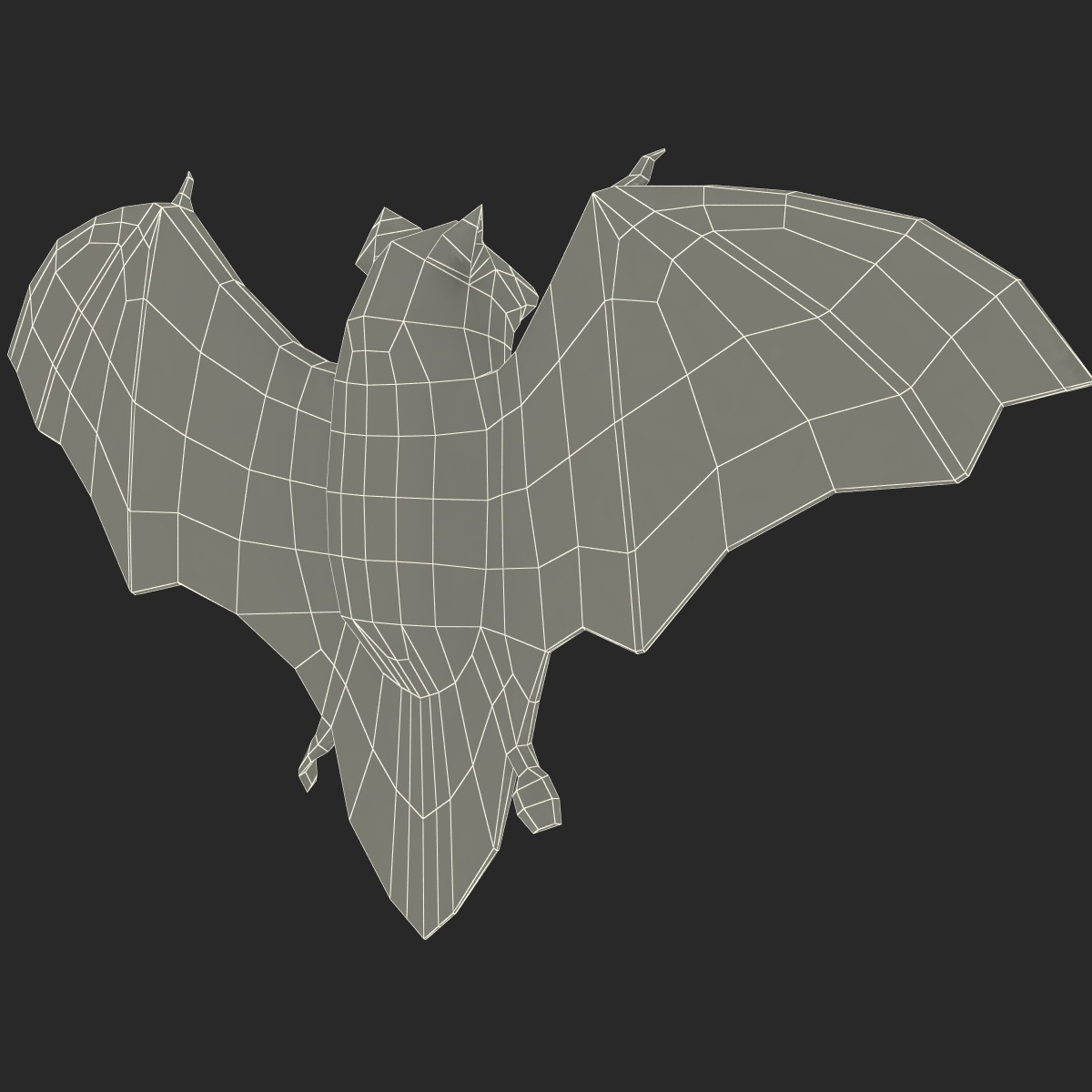 3d bat animal modelled model