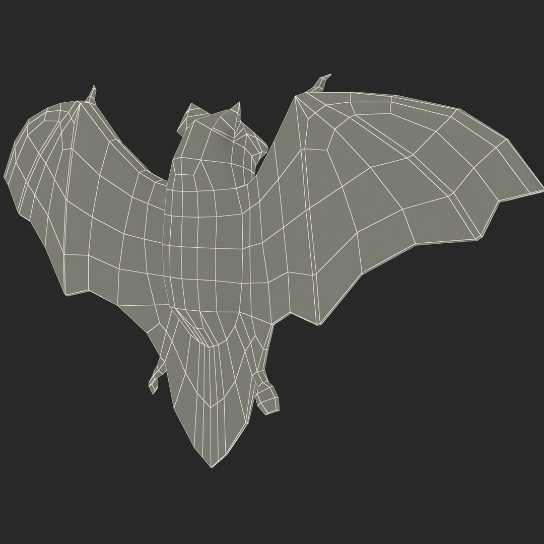 3d Bat Animal Modelled Model