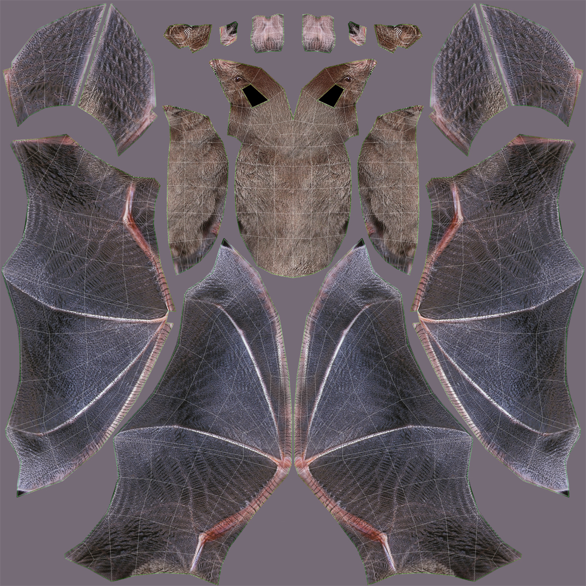 3d bat animal modelled model