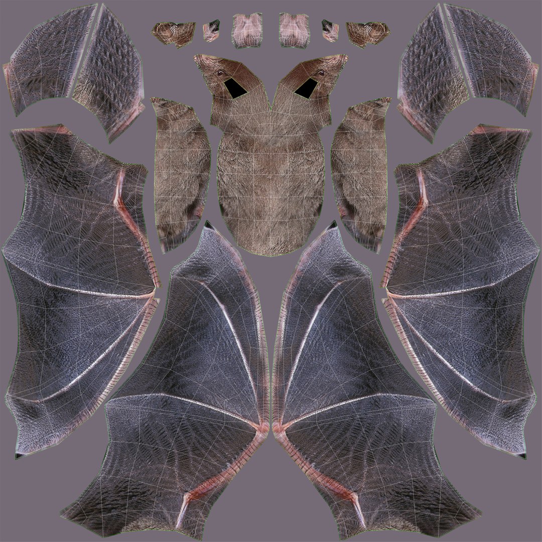 3d Bat Animal Modelled Model