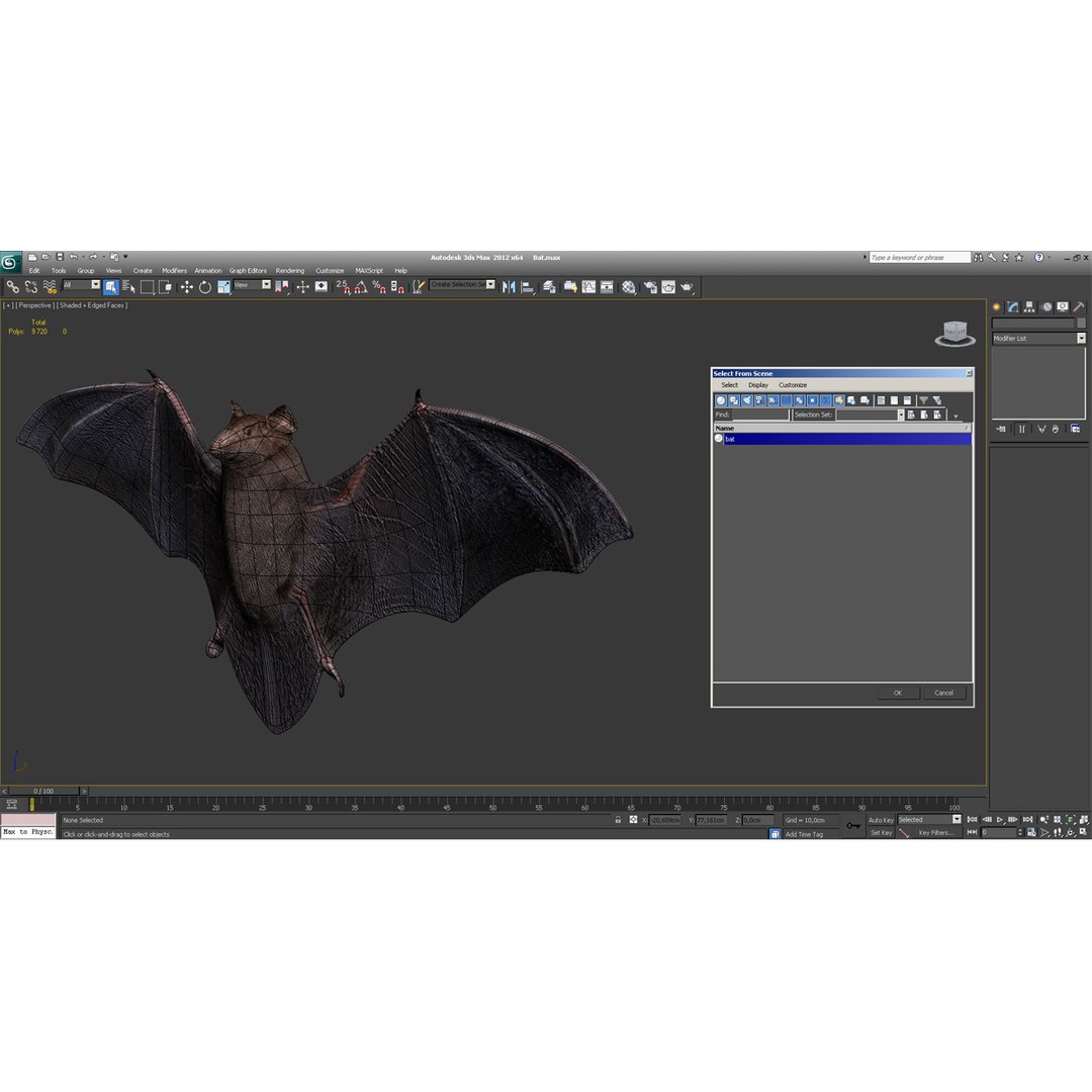 3d Bat Animal Modelled Model