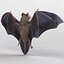 3d bat animal modelled model