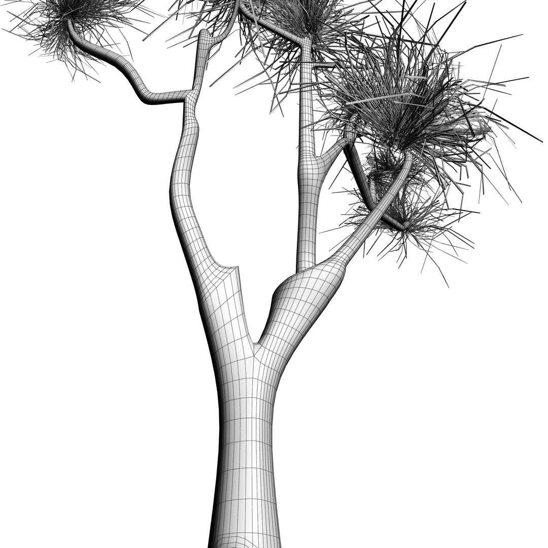 3d Model Tree 01
