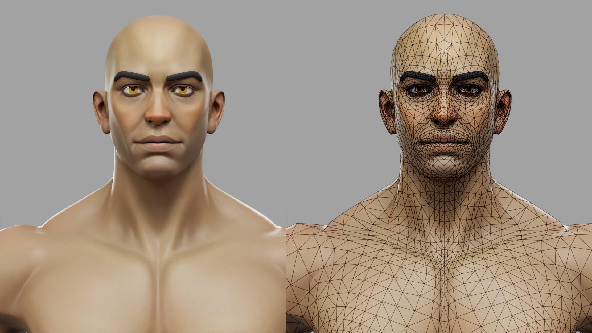 Free 3D Game And Animation Ready Base Mesh Model - TurboSquid 2284746