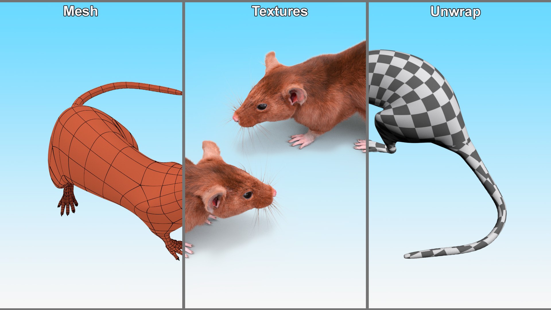 3D Model Lifelike Rodent Rat - TurboSquid 2304659