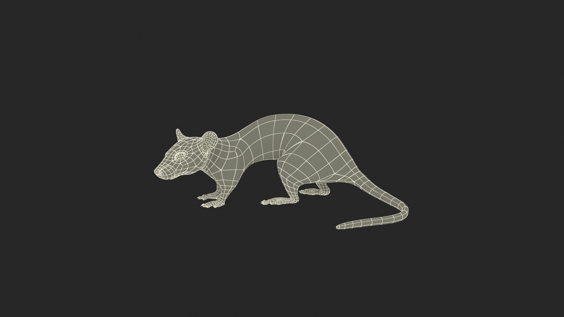 3D Model Lifelike Rodent Rat - TurboSquid 2304659