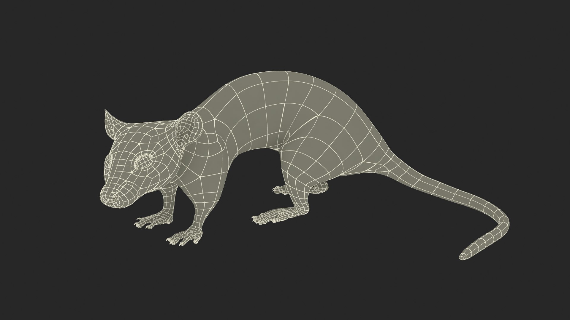 3D Model Lifelike Rodent Rat - TurboSquid 2304659