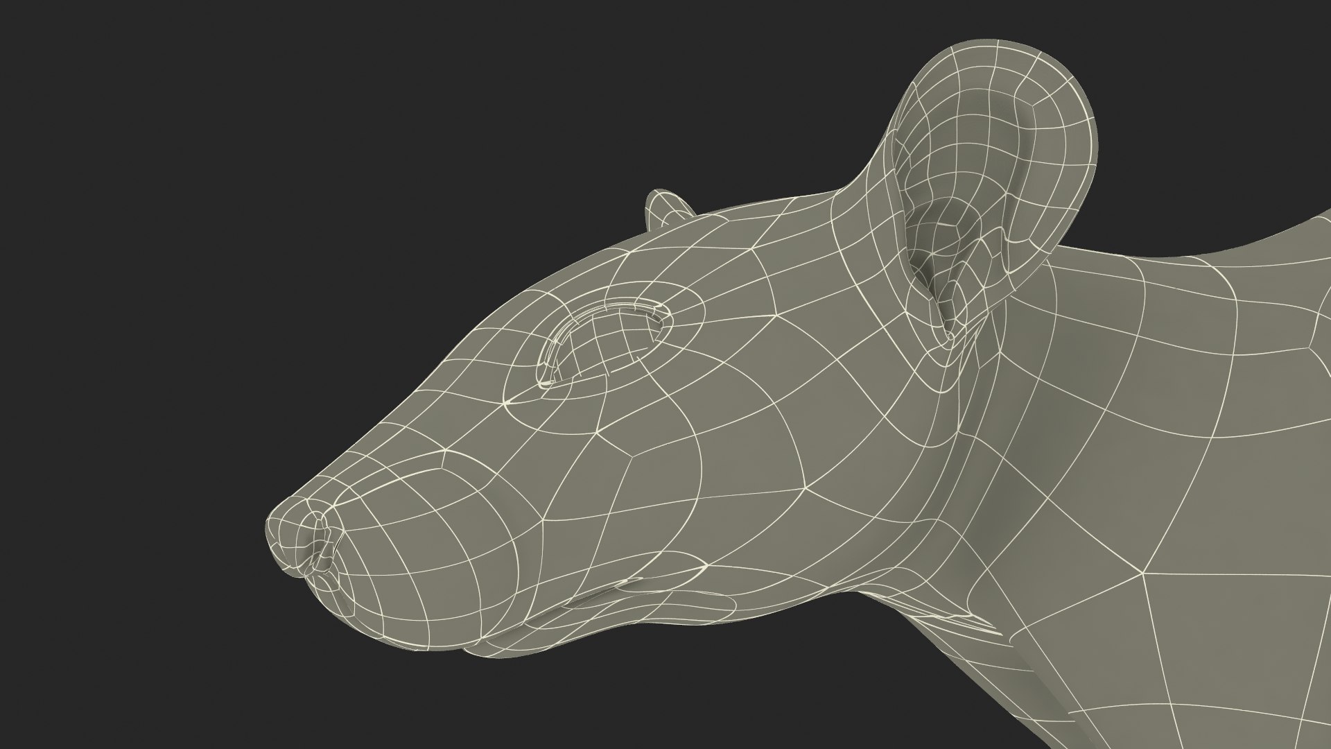 3D Model Lifelike Rodent Rat - TurboSquid 2304659